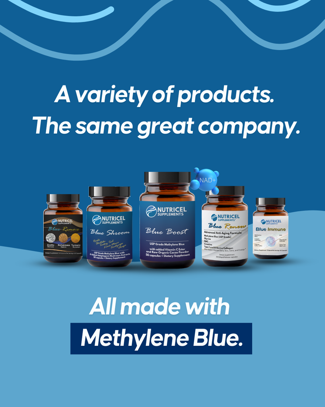 Nutricel.store – Nutricel Supplements